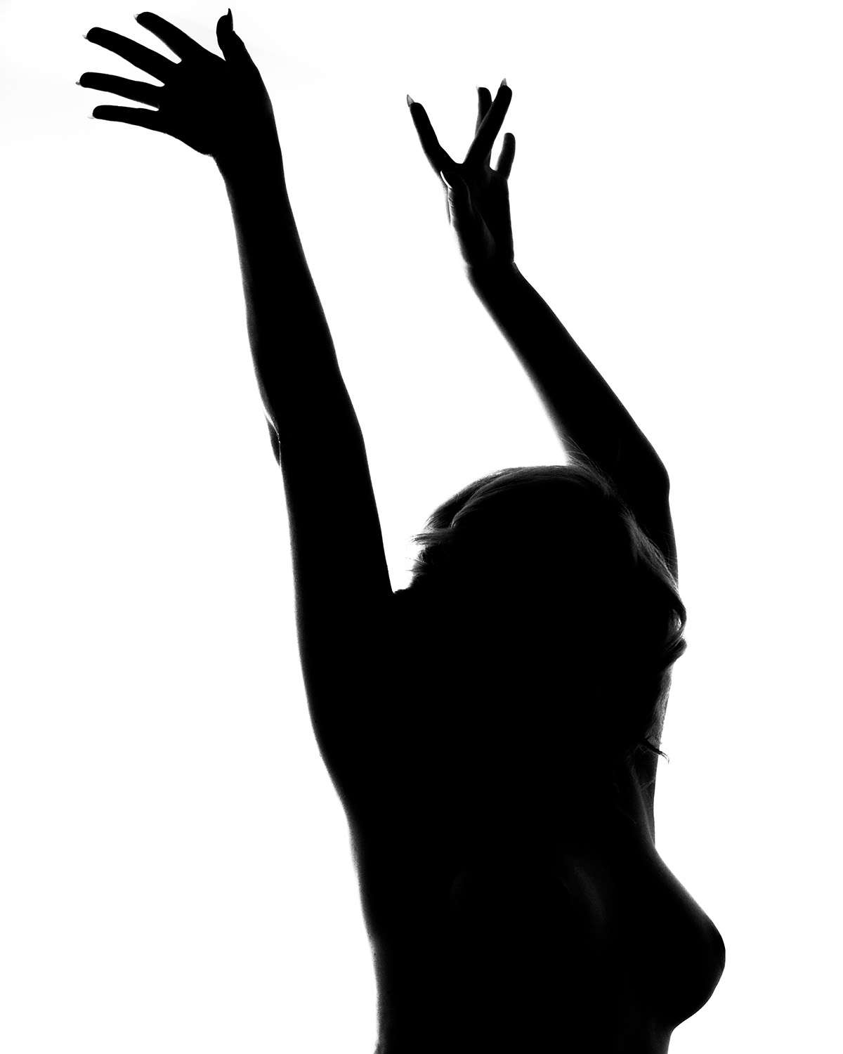 Easy Silhouettes – Ed Verosky